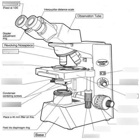 Microscope Diagram Quizlet