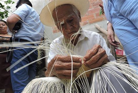 Plan Pro Sombrero De Paja Toquilla Intercultural Noticias El Universo