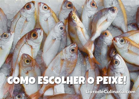 Como Escolher o Peixe Livro de Culinária