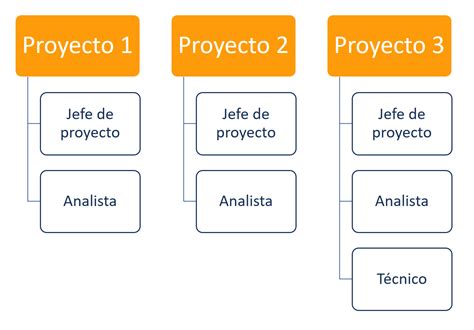 Las estructuras organizacionales y la gestión de proyectos