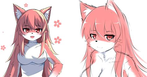 Furry Female Furry Character Reference Sheet Punipuni Pixiv