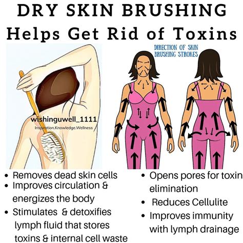 Lymphatic Drainage Dry Brushing Chart