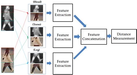 flowchart of gender recognition using the combination of different body download scientific