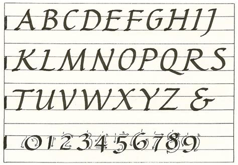 More Italic Alphabet Calligraphy Pinterest Calligraphy