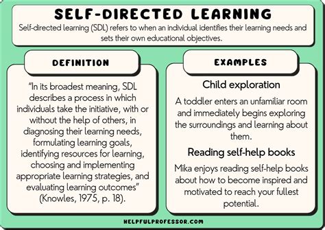 Self Directed Learning Examples