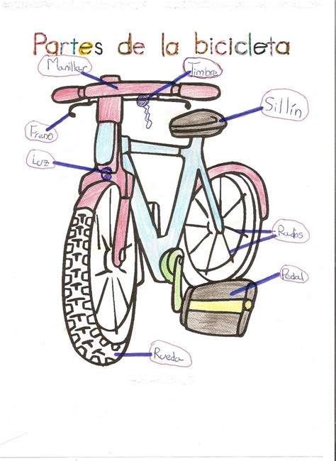 Componentes Bicicleta Conoce Las Partes De Una Bicicleta Atelier