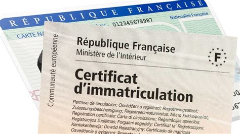 Certificat D Immatriculation Et Permis De Conduire