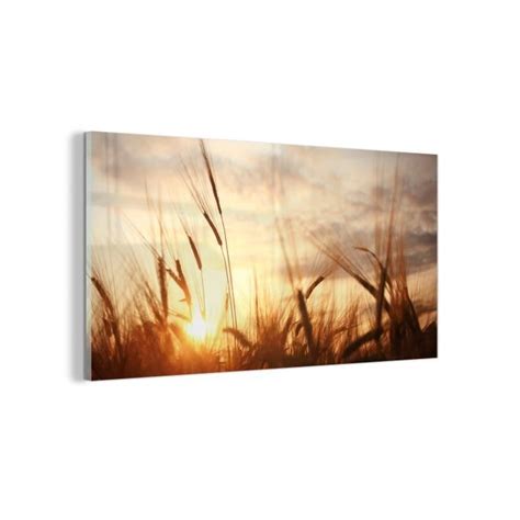 Tableau Toile MuchoWow Paysage 120x60 Cm Au Herbe Coucher De
