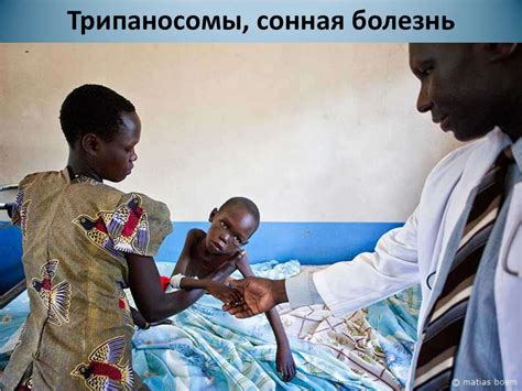 Паразитические простейшие Значение простейших 7 класс презентация