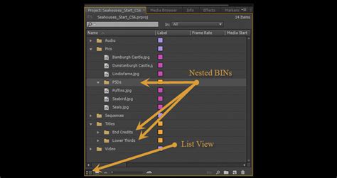 How To Organize Your Premiere Pro Project PremiumBeat