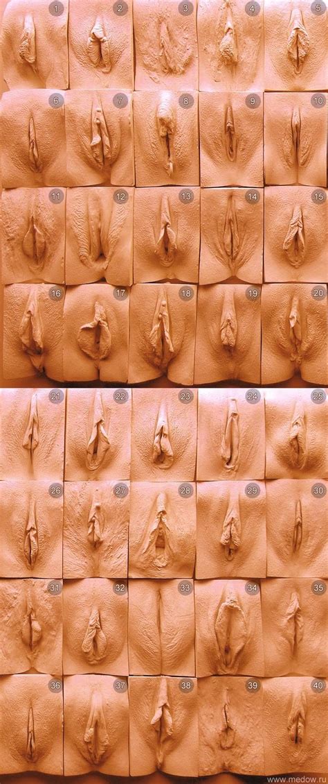 Cunts Of Different Nationalities 74 Photos Sex Pics