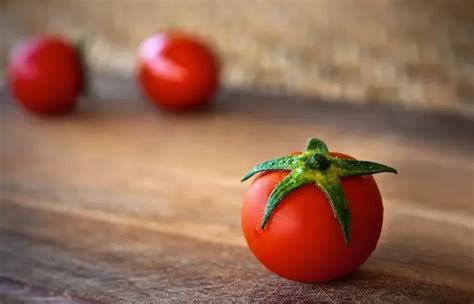 Consejos prácticos para sembrar tomates en Andalucía éxito asegurado