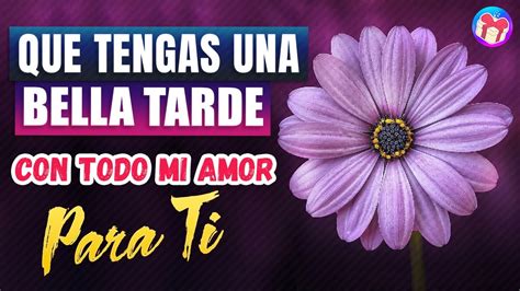 Que Tengas Una Bella Tarde Mi Amor Con Todo Mi Amor Para Ti YouTube