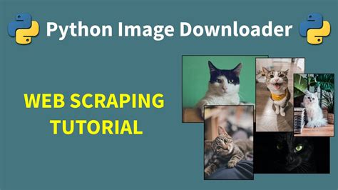 download images with python automatically python web scraping tutorial youtube