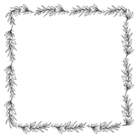 Moldura Floral Desenhada Vetorial Em Fundo Branco Vetor Premium