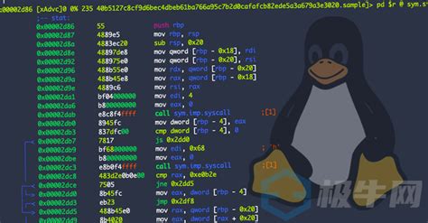 新型orbit恶意程序曝光，针对linux系统恶意程序呈增长态势 哔哩哔哩