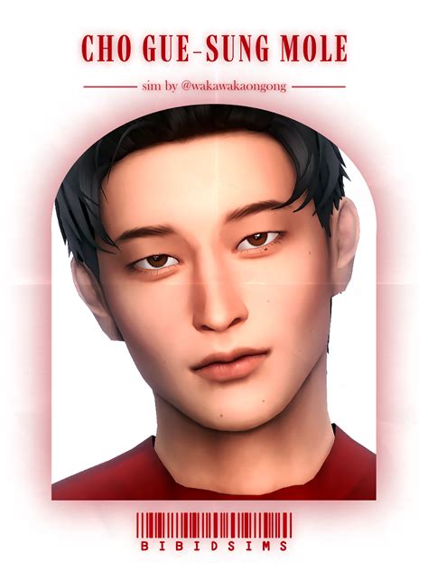 Credits For Sim Is On Wakawakaongong In The BIBID