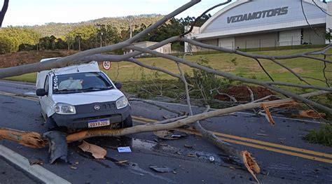 Rvore Cai Em Cima De Carro Na Br Mesorregional