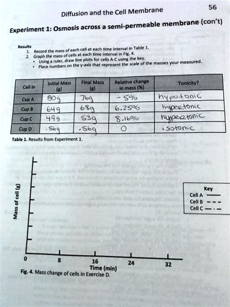 SOLVED Diffusion And The Cell Membrane Experiment 1 Osmosis Across A