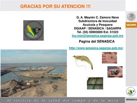 Ppt Programas De Reducci N De Riesgos En Productos Pesqueros Y