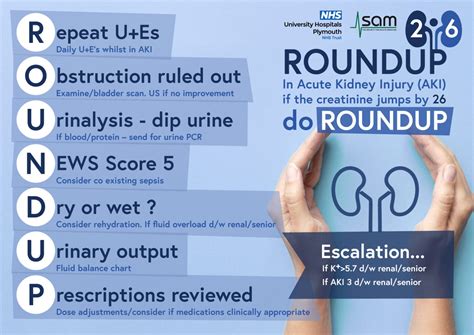 Acute Kidney Injury Sig Society For Acute Medicine