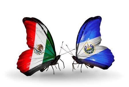 Dos Mariposas Con Banderas En Las Alas Como S Mbolo De Las Relaciones