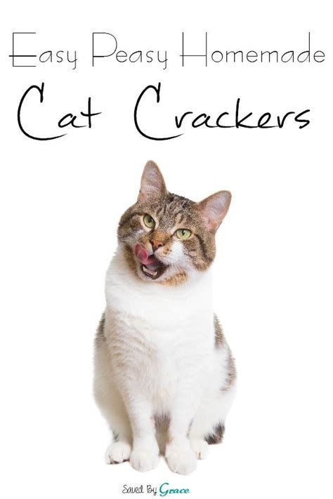 Easy Homemade Cat Gravy Artofit