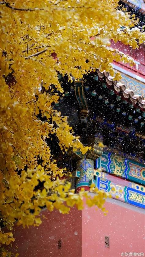 In Landscape Photography Nature Chinese