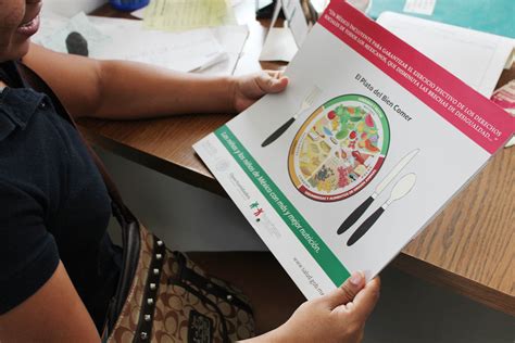 El plato del bien comer una guía para una buena alimentación