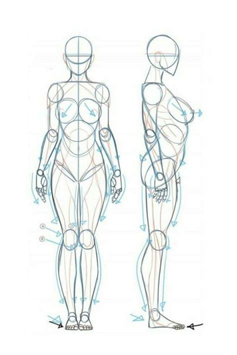 Gesture Drawing Dynamic Poses Drawing Figure Drawing Tutorial