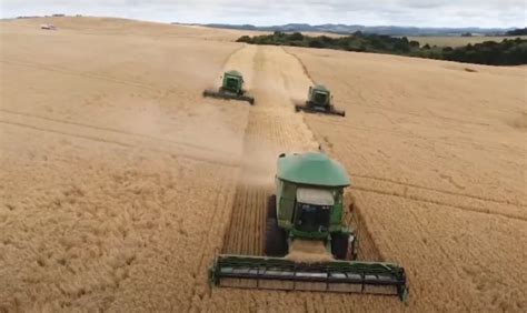 Conab prevê novo recorde na produção de grãos em 312 4 milhões de