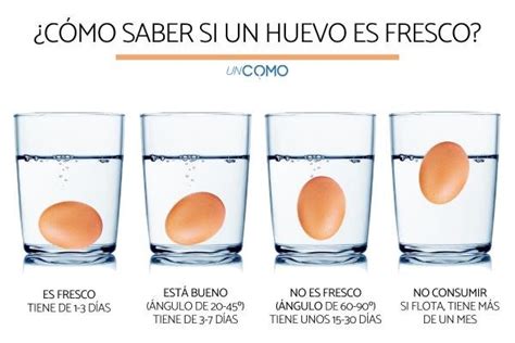 Qué es lo que realmente significa que un huevo flote o no en el agua
