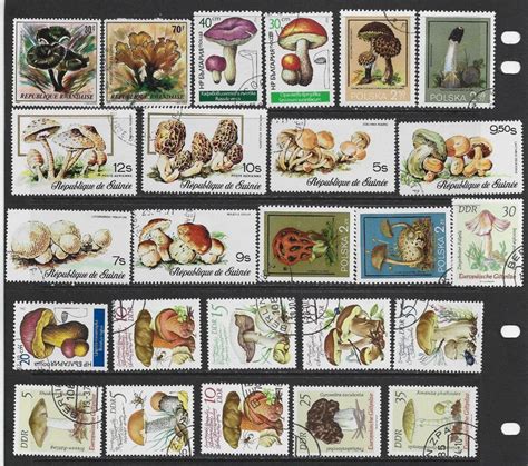 25 Timbres Les Champignons Kaufen Auf Ricardo