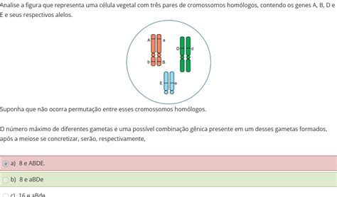 poderia me ajudar nessa questão Alternativa correta B Explicaê