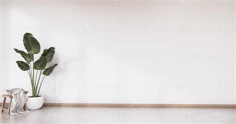 Interior With Plants On Empty Wall Background 3D Rendering 4365646