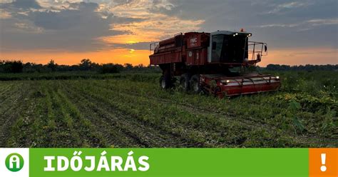 Id J R S Brut Lisan Meleg Lesz Az Jszaka Agroinform Hu