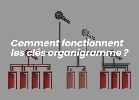 Clés organigramme quelle utilité