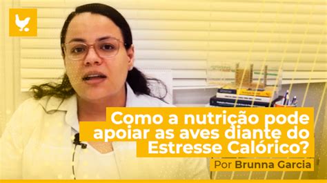 Estresse calórico em aves como a nutrição pode apoiar o conforto