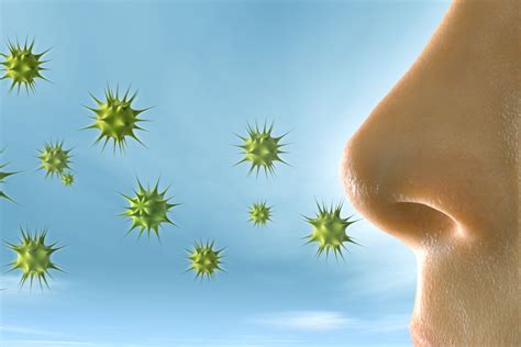 Alergia La Polen Cauze Simptome Tratament