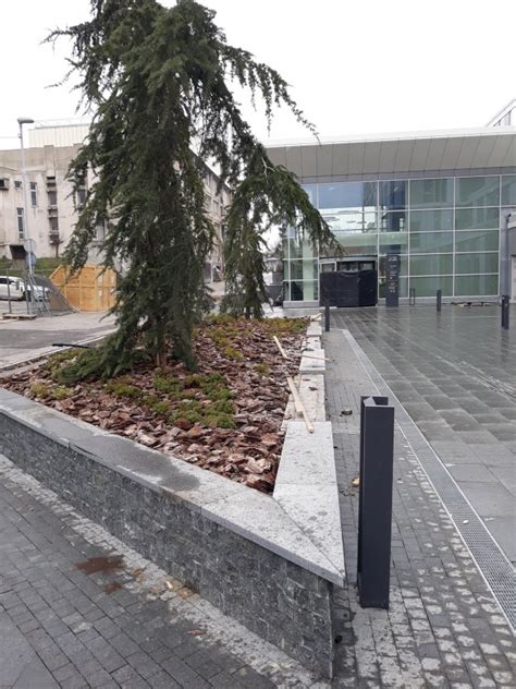 Klinički centar Srbije Strana 71 Beobuild Forum