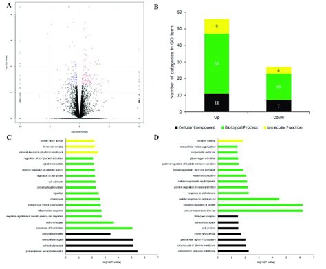 RNA seq data and gene ontology analysis of TNF α and TNF α plus HY7714