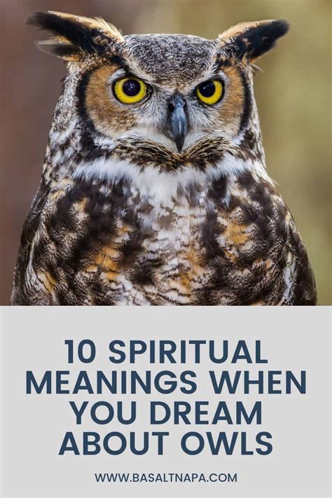10 Spiritual Meanings When You Dream About Owls