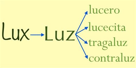 Palabras Primitivas y Derivadas Cuáles son y ejemplos