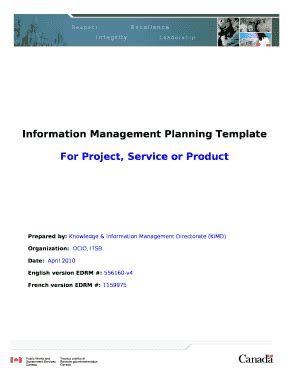 Ination Management Planning Template Doc Template PdfFiller