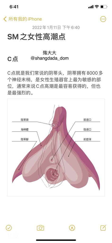 殇大大 on Twitter SM之女性高潮点 字母圈 BDSM 虐恋 自慰 k9 调教 sm sm教学 高潮 强制