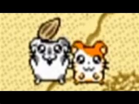 Hamtaro Ham Hams Unite Part Sunflower Park Youtube