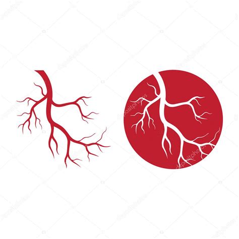 Vene Umane Disegno Dei Vasi Sanguigni Rossi Arterie Illustrazione