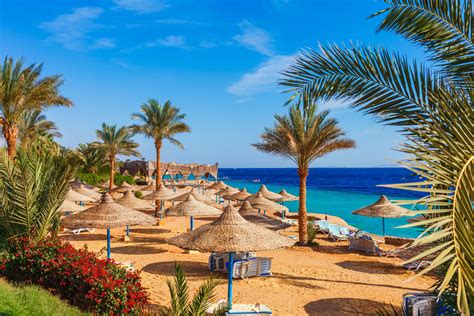 L Égypte en Famille 10 Choses à Faire Avec des Enfants Où et Quand
