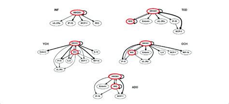 dynamic bayesian network dbn analysis of circulating inflammatory download scientific