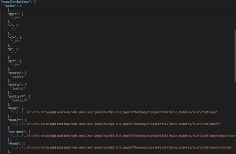 DefineNuxtPlugin Is Not Defined In Plugin Context Issue 15740